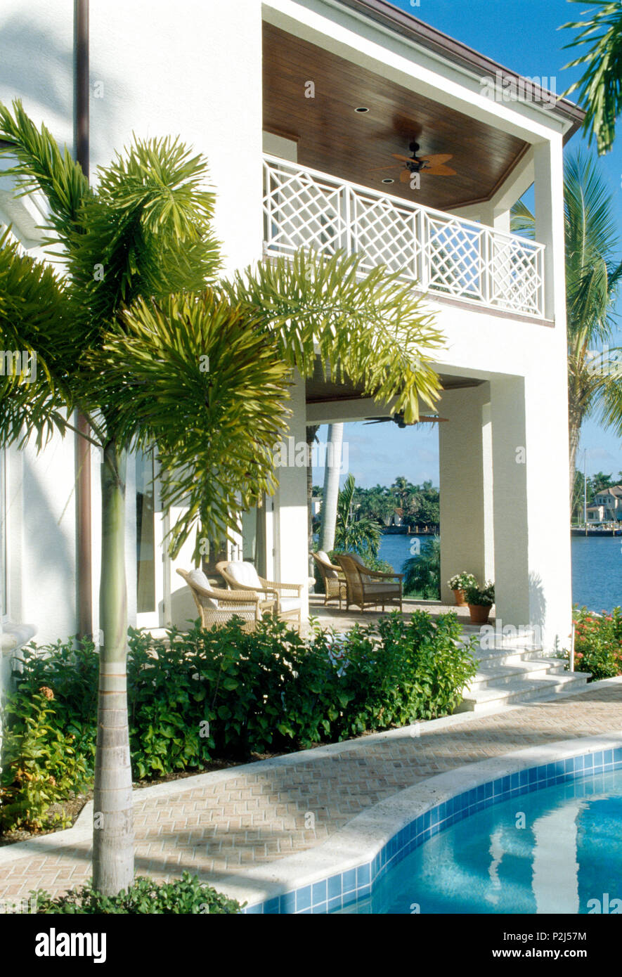 Small palm tree beside swimming pool of modern villa in Florida Stock ...