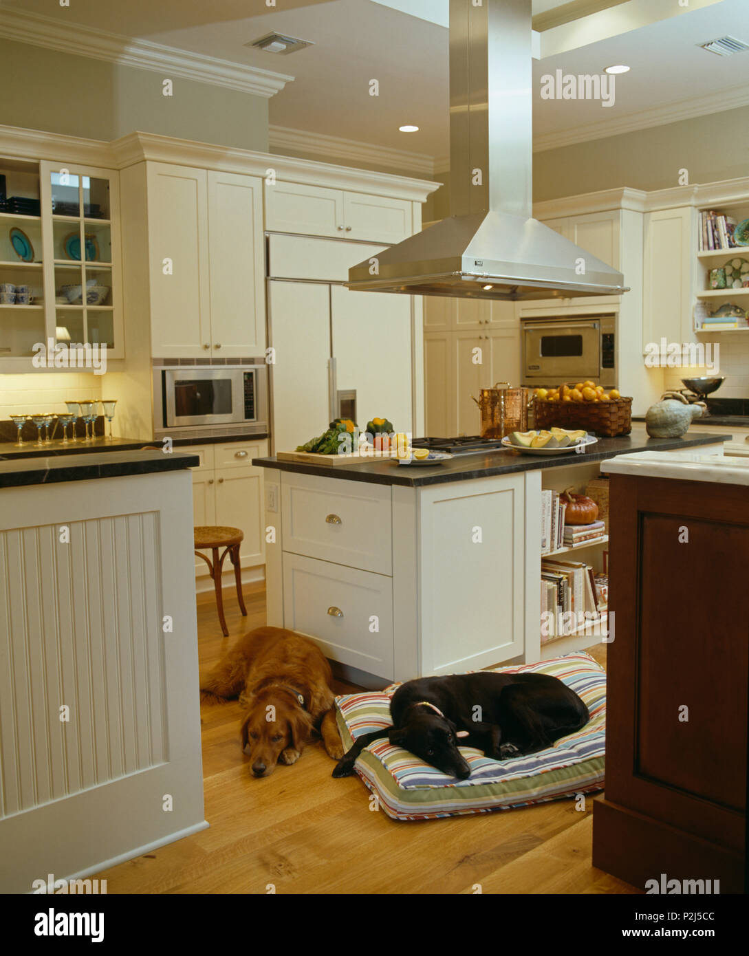 Two dogs lying on floor on large cushion in cream kitchen with large ...