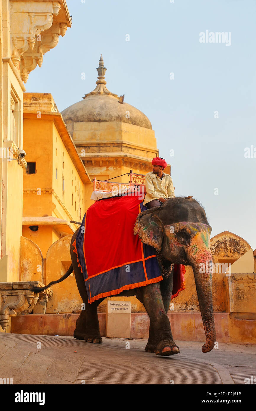 Decorated elephant going on the cobblestone path from Amber Fort near ...