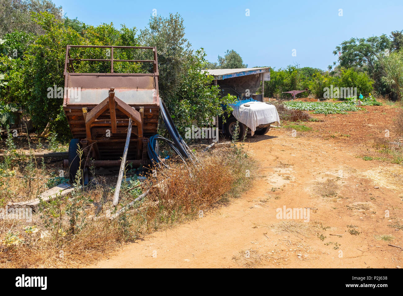 Cyprus agriculture hi-res stock photography and images - Alamy