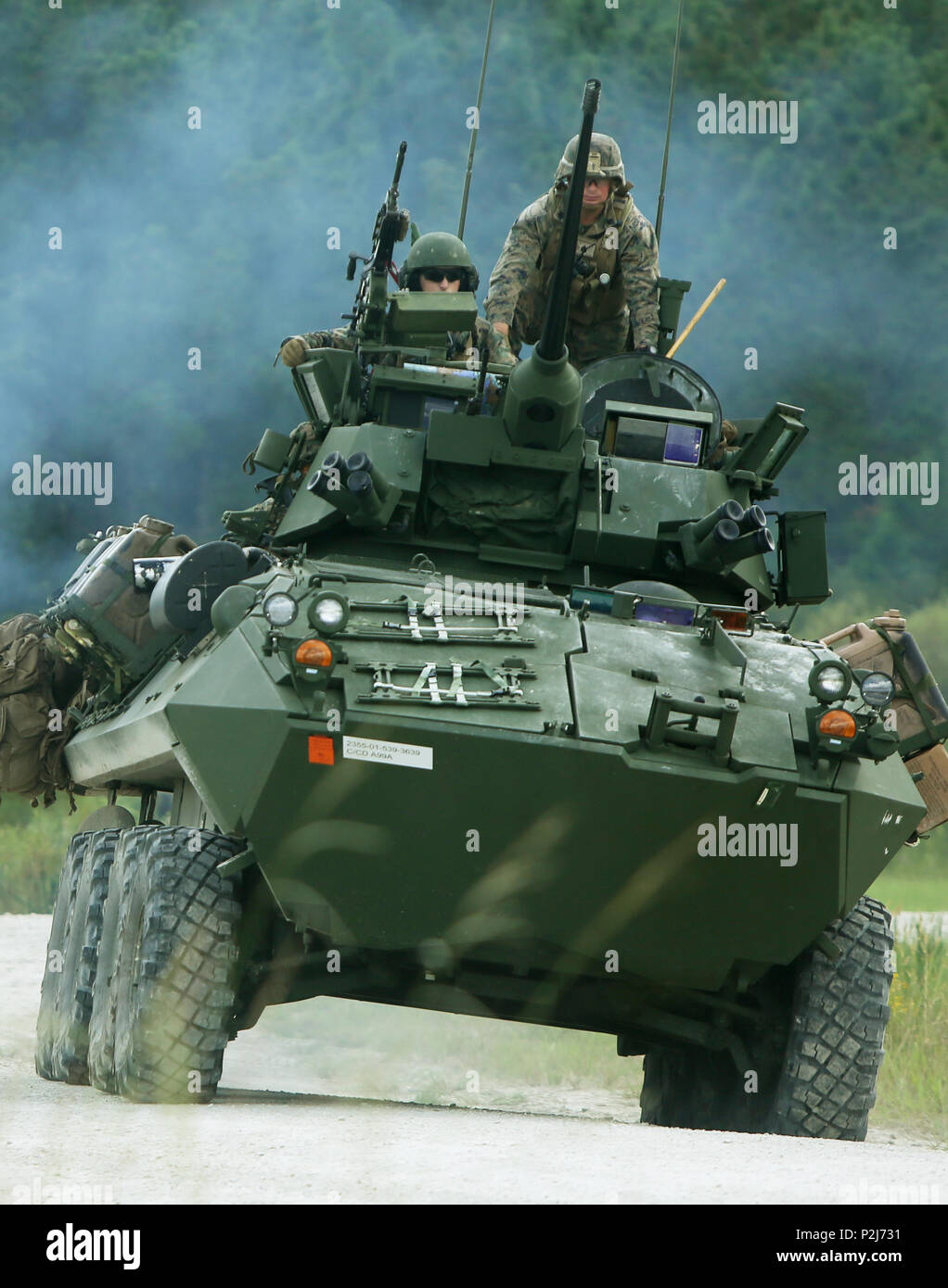 Marines from 2nd Light Armored Reconnaissance Battalion head out to ...