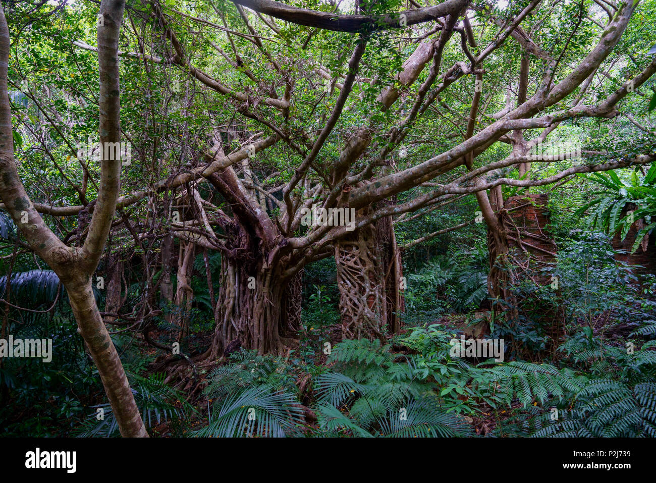 Coal mine japan hi-res stock photography and images - Alamy