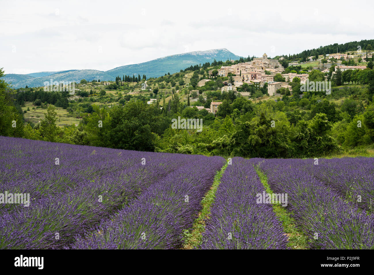 Aurel village hi-res stock photography and images - Alamy
