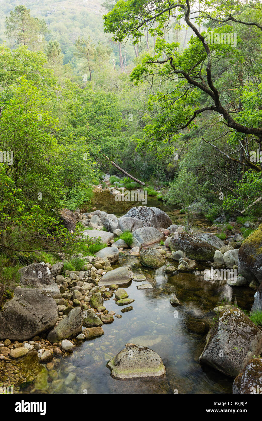 Geira roman road portugal hi-res stock photography and images - Alamy