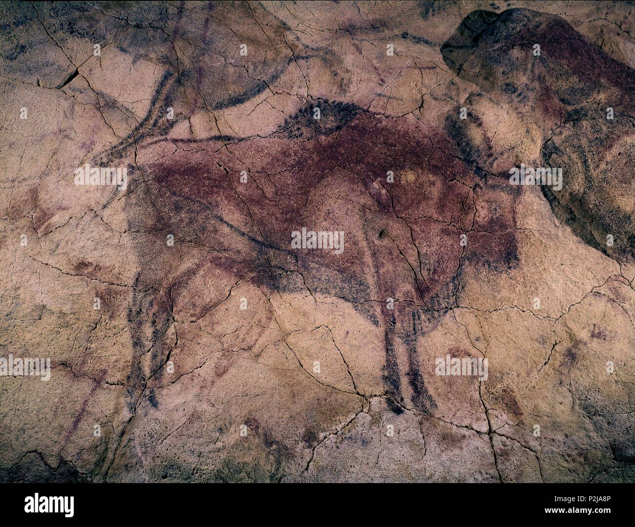 Magdalenian hi-res stock photography and images - Alamy