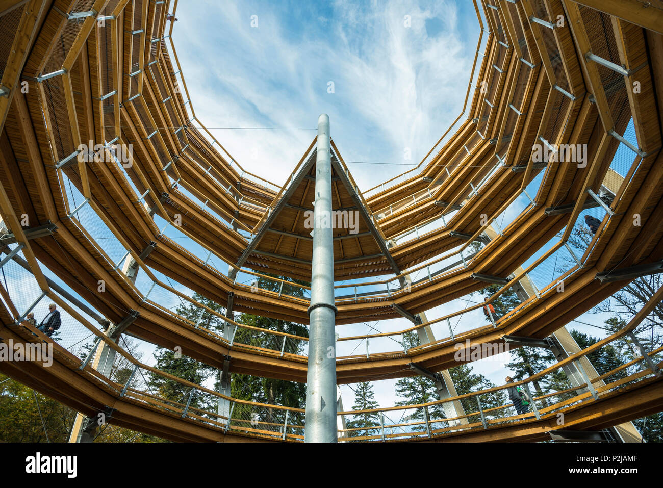 Tree top walk, Bad Wildbad, district of Calw, Black Forest, Baden ...