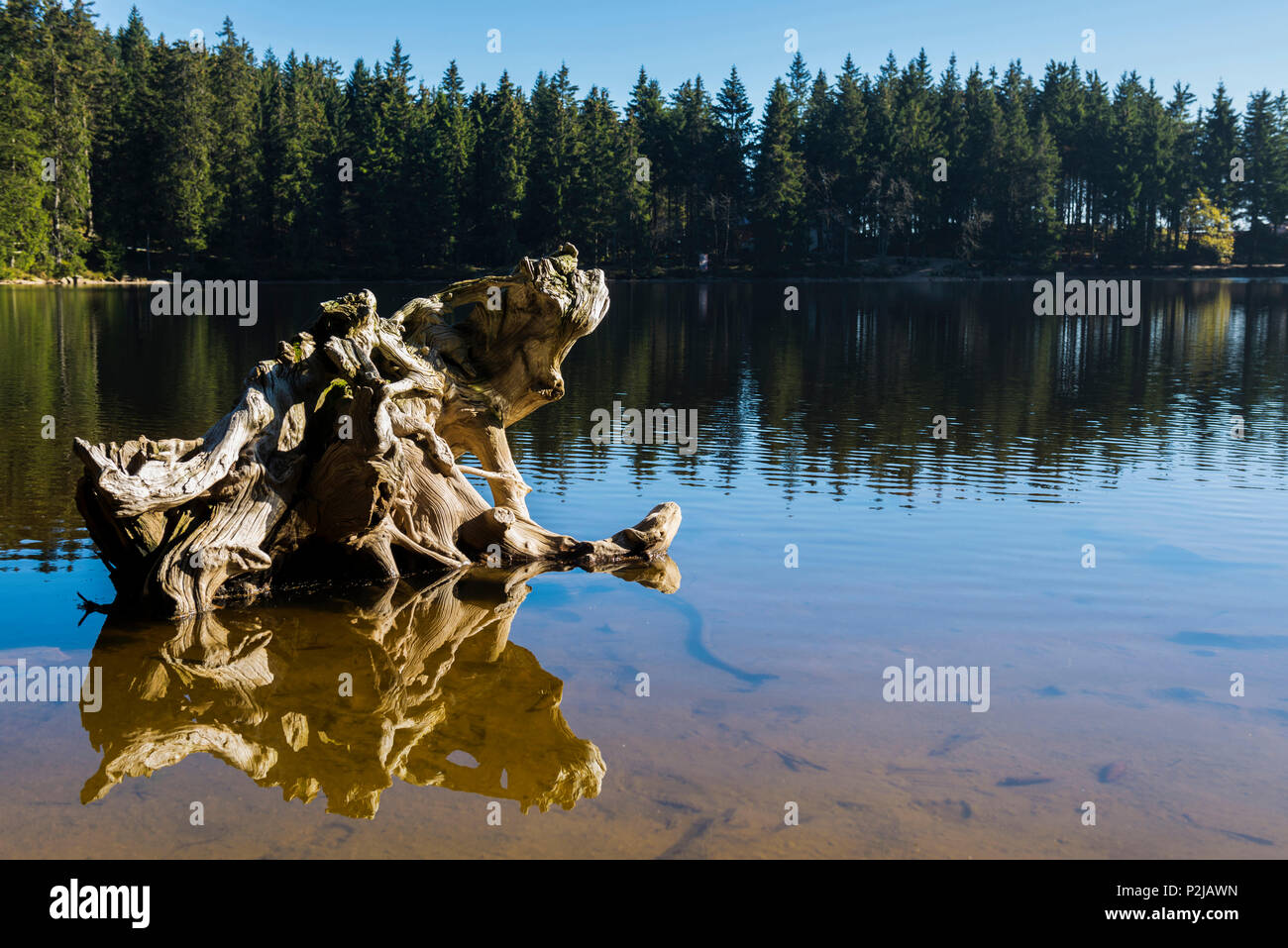 Lake Mummelsee, Seebach, near Achern, Black Forest, Baden-Wuerttemberg ...