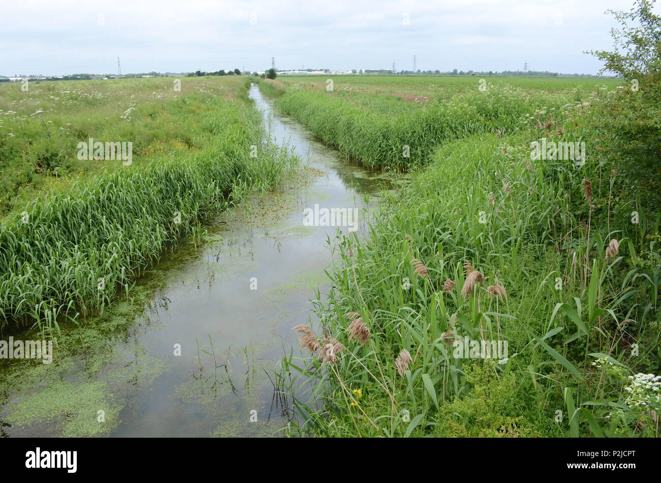Flag fen hi-res stock photography and images - Alamy