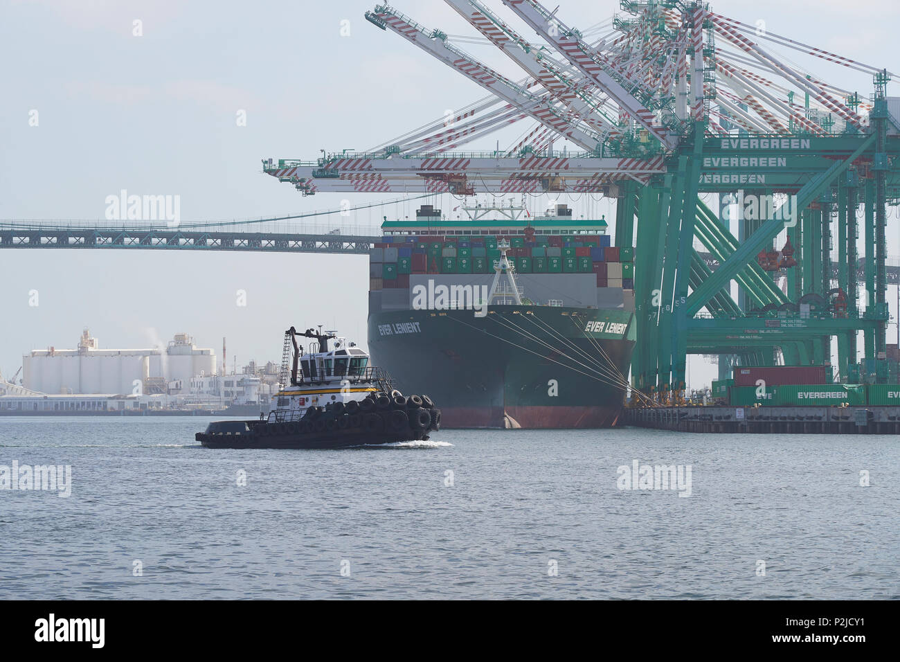 Tractor Tug JOHN QUIGG Passing The Container Ship, EVER LENIENT ...