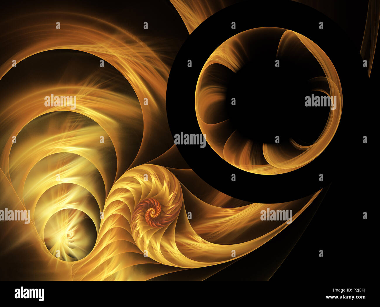 Split nautilus seashell showing inner float chambers, fractal spiral ...