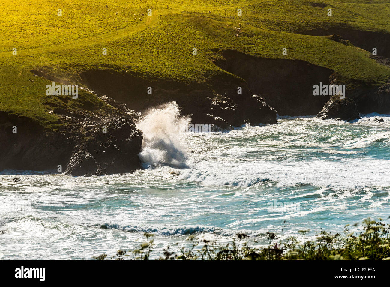 Porth joke north cornwall hi-res stock photography and images - Alamy