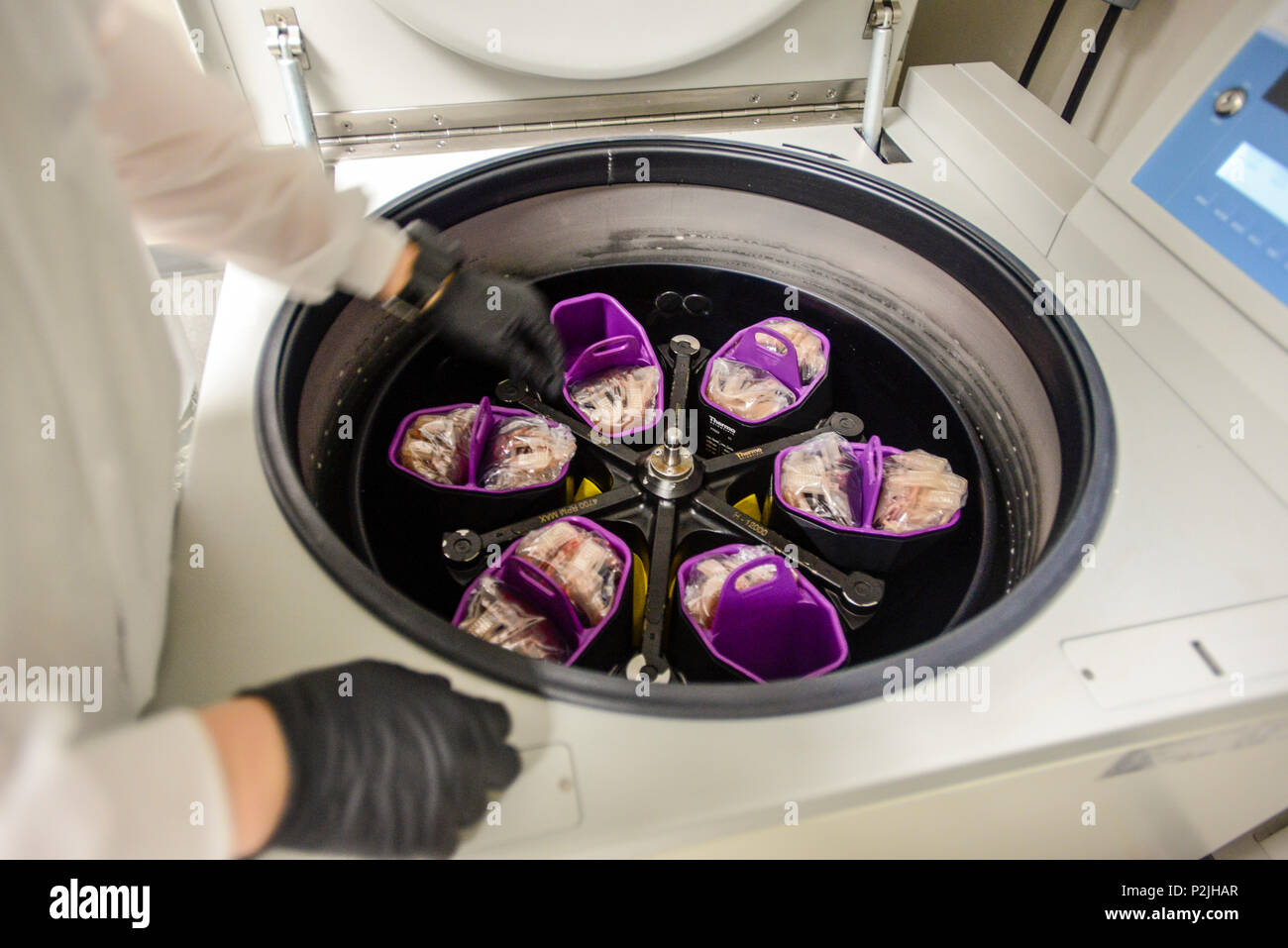 Centrifuge forces hi-res stock photography and images - Alamy