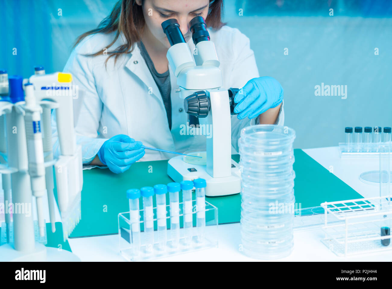 petri dish in the laboratory microscope Stock Photo - Alamy