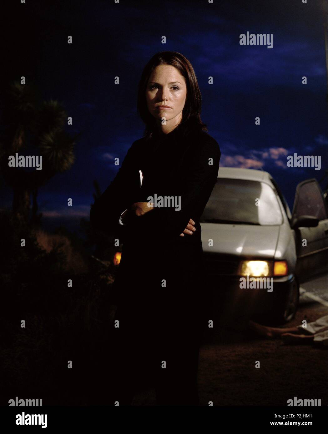Jorja fox csi hi-res stock photography and images - Alamy