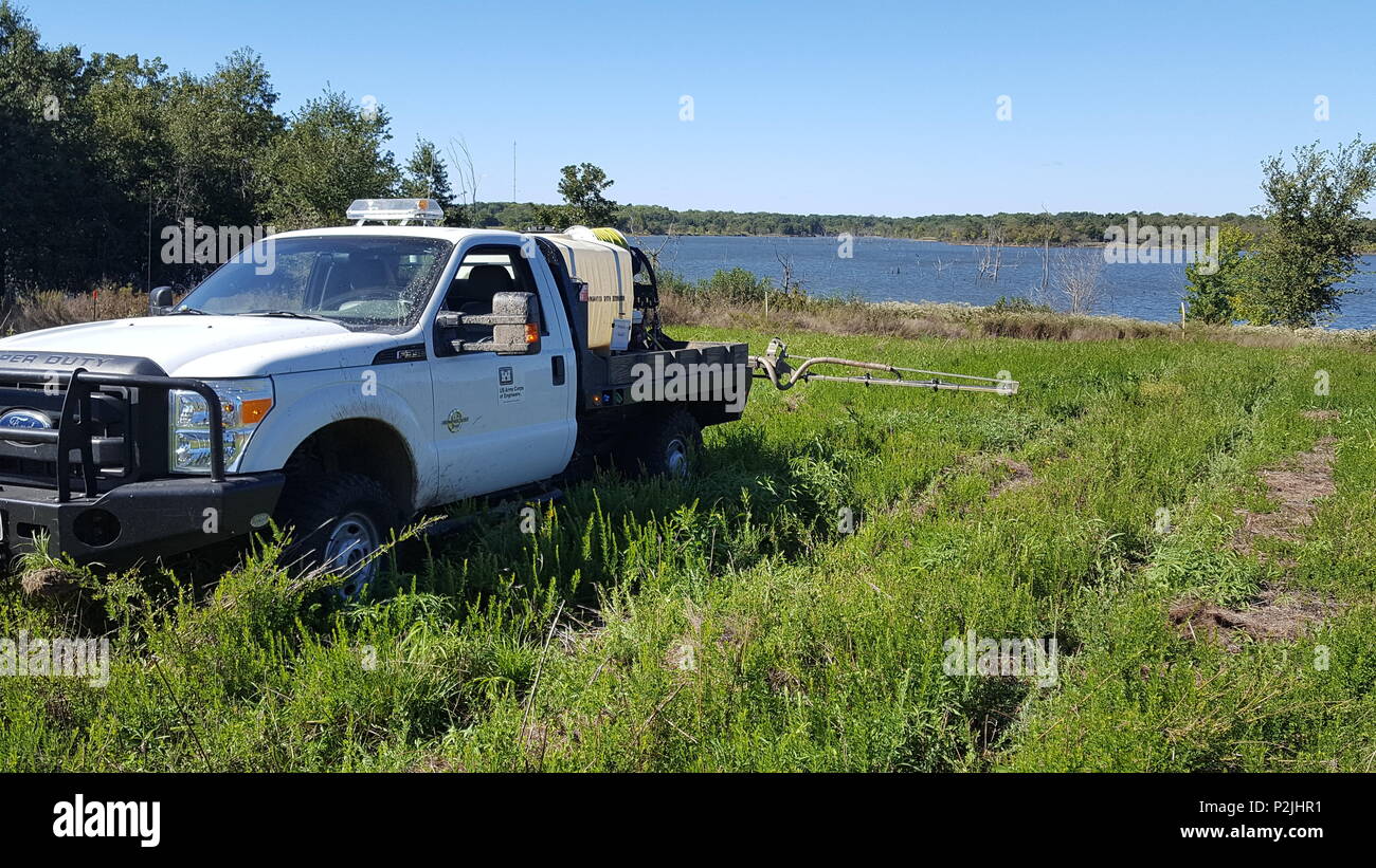 Sericea lespedeza is an extremely aggressive invasive plant that ...
