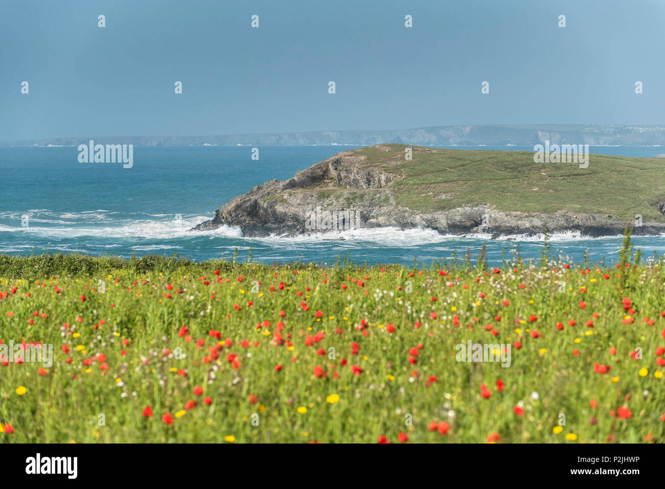 Poppies at sea hi-res stock photography and images - Alamy