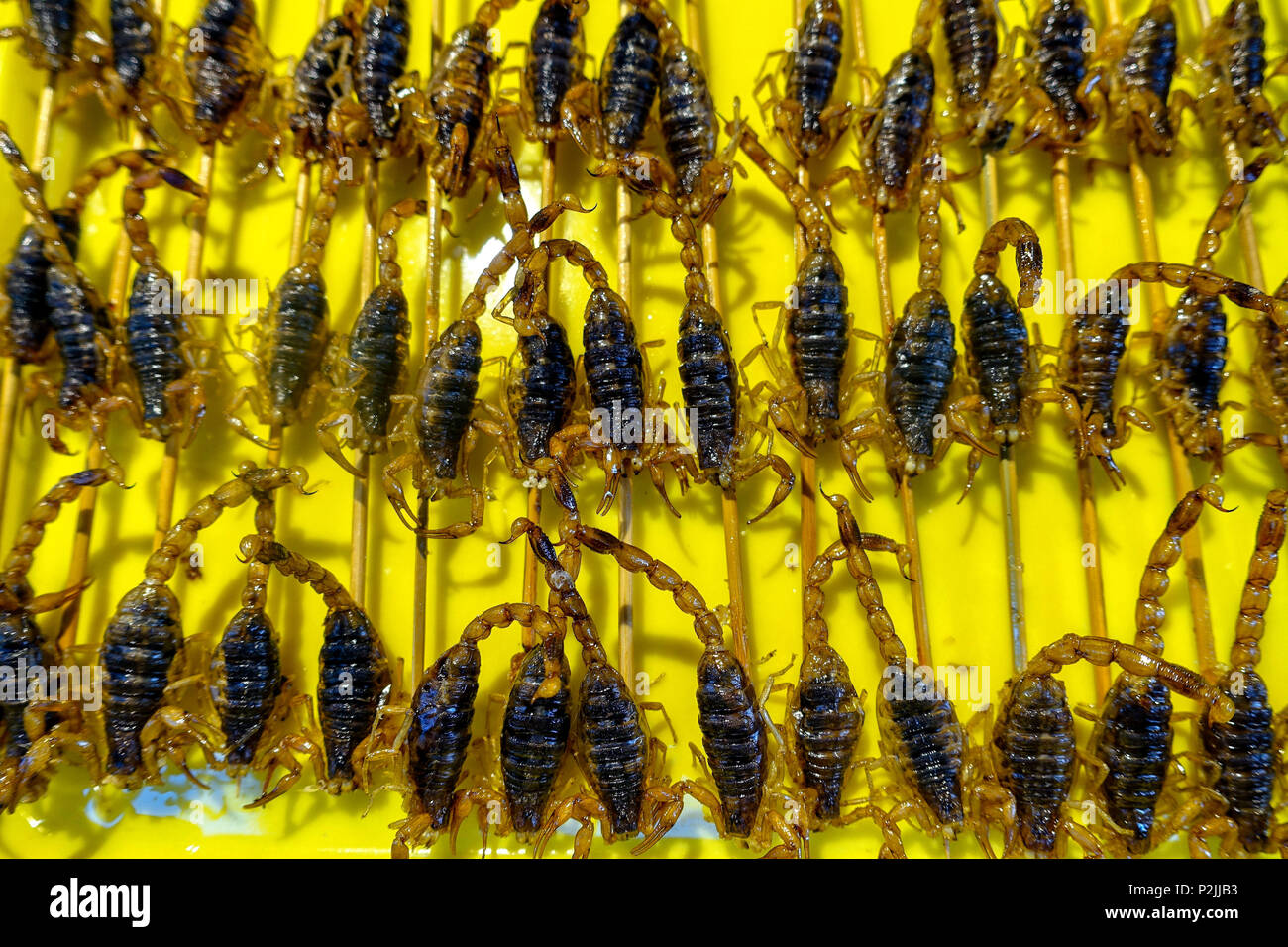 China snake food hi-res stock photography and images - Alamy