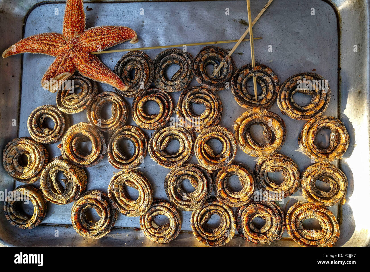 Snakes china hi-res stock photography and images - Alamy