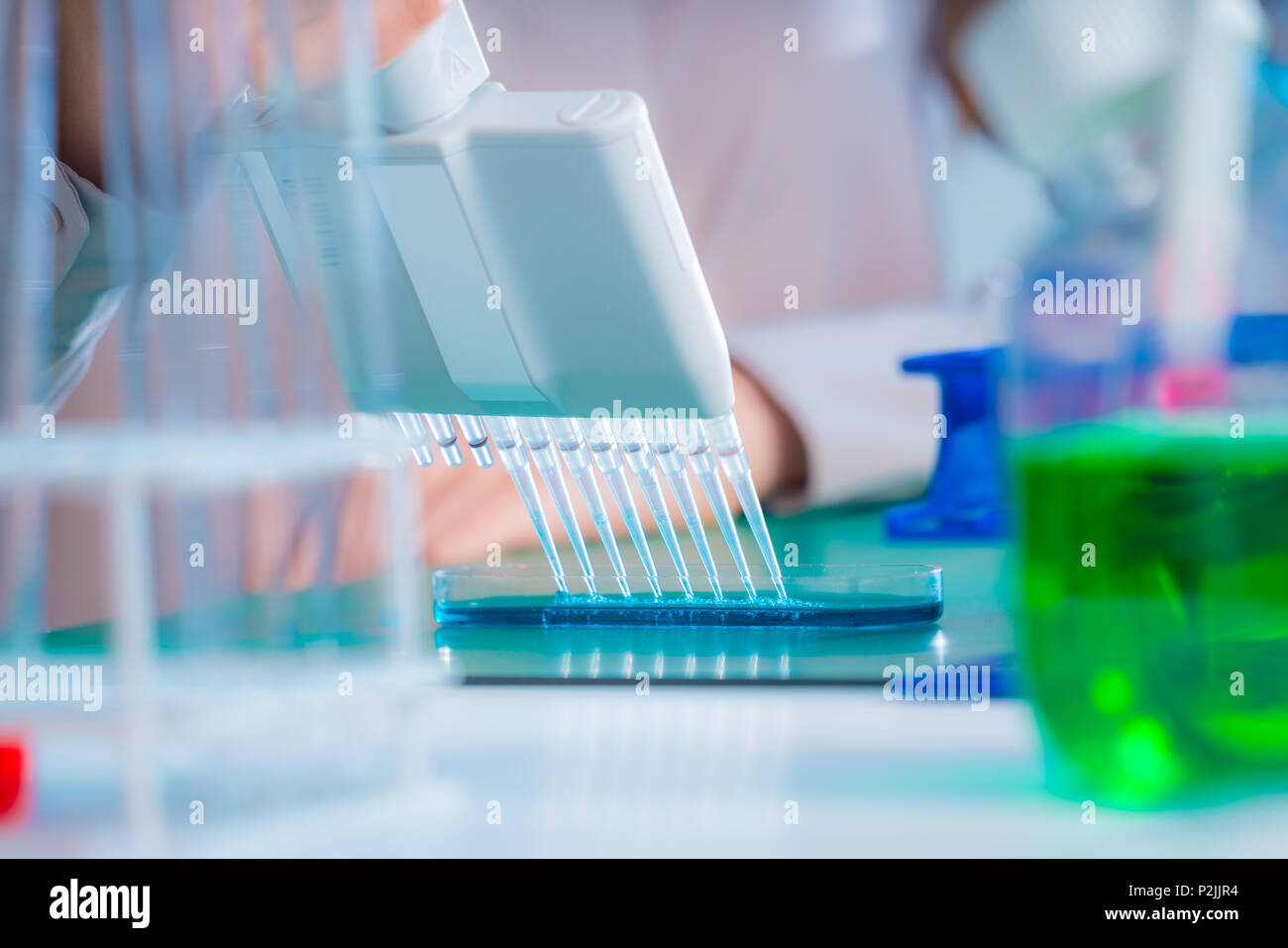 student woman with multi pipette and other PCR items in microbiological ...