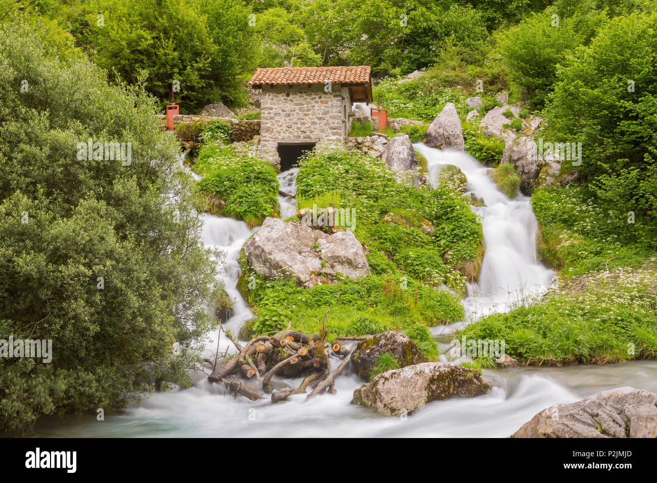 Waterfall in the Cares River located in the Picos de Europa National ...