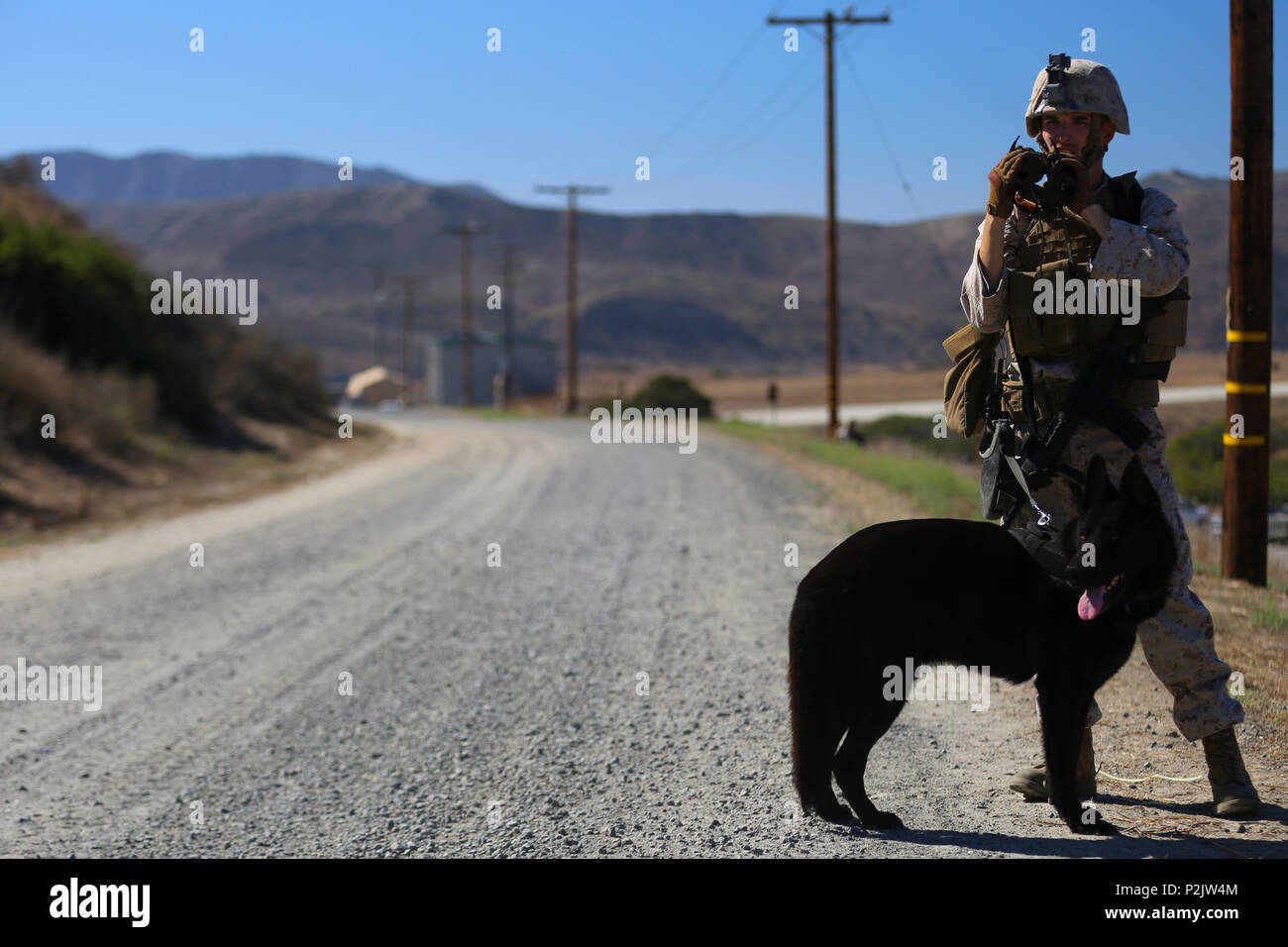 Cpl. Jared Royce, a military working dog handler with Special Purpose ...