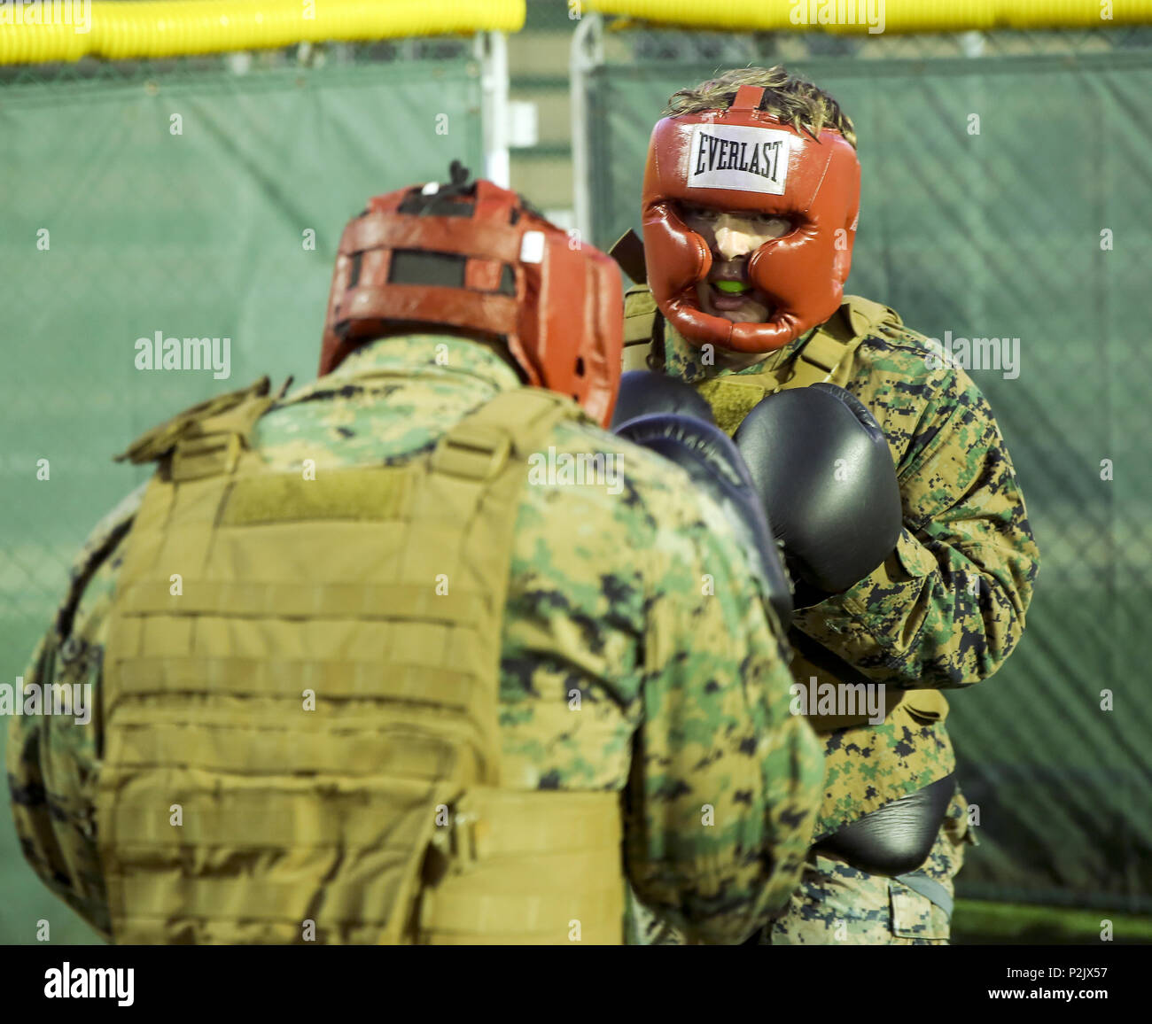 Tommasi joseph hi-res stock photography and images - Alamy