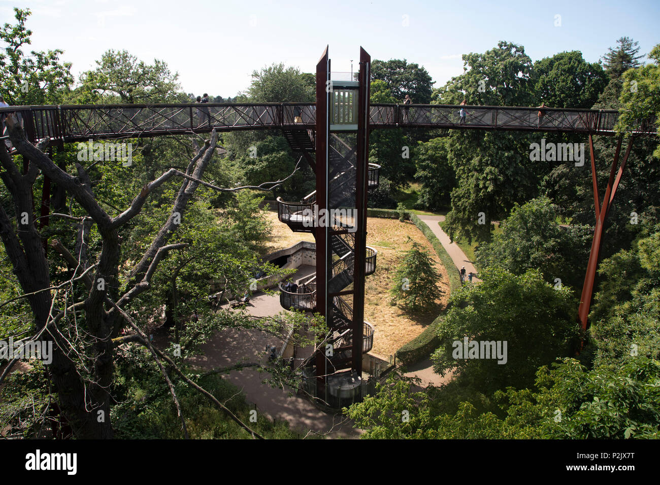 Treetop Walkway at Kew Gardens in London, United Kingdom. The Royal ...