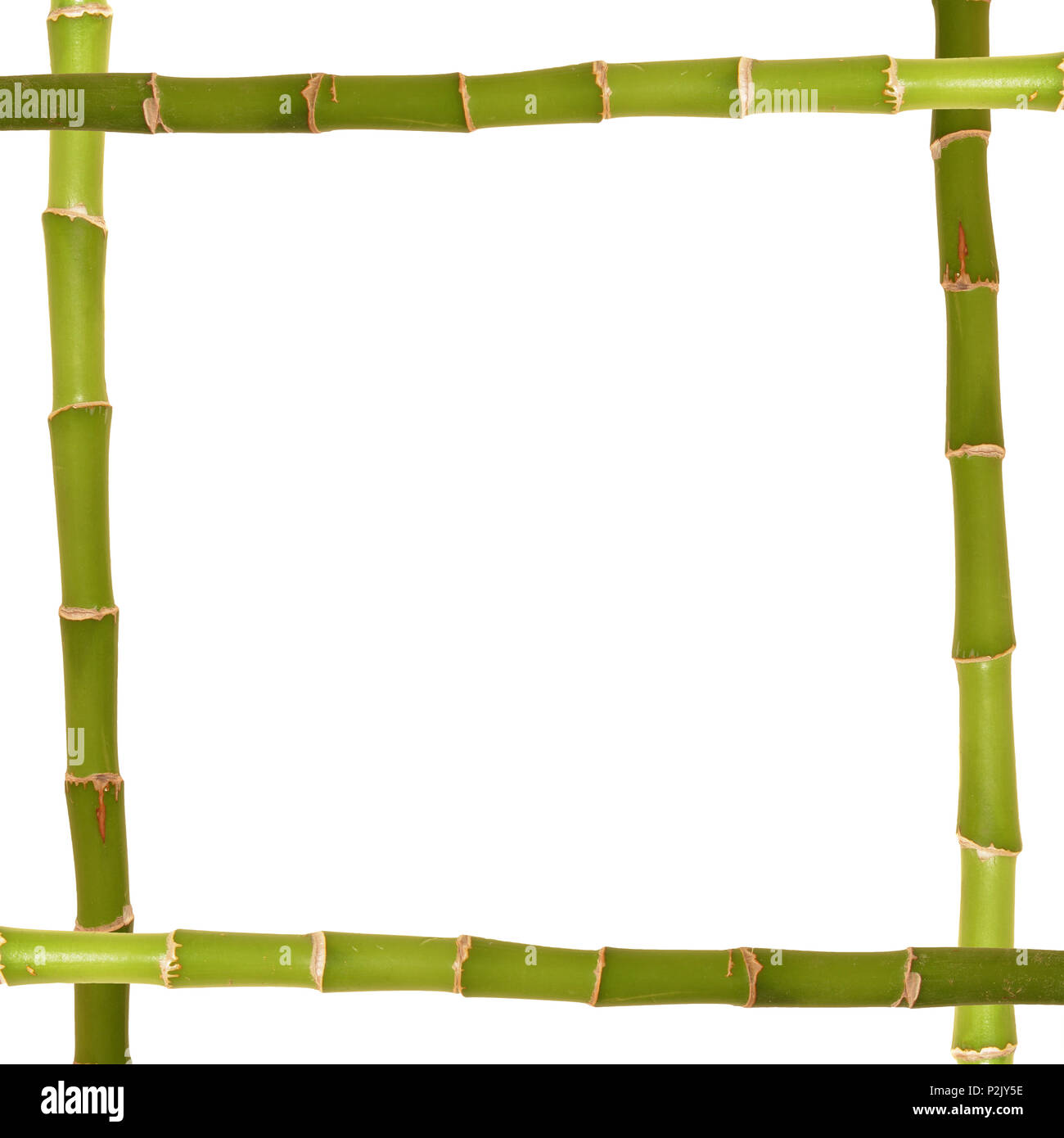 Lucky bamboo frame isolated on white Stock Photo - Alamy