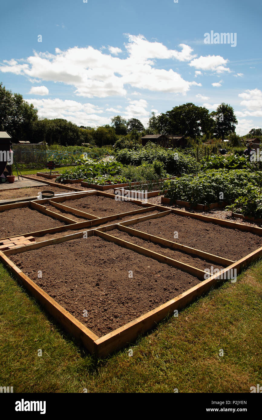 Allotment plot marked out ready for planting with a wooden frame in a ...