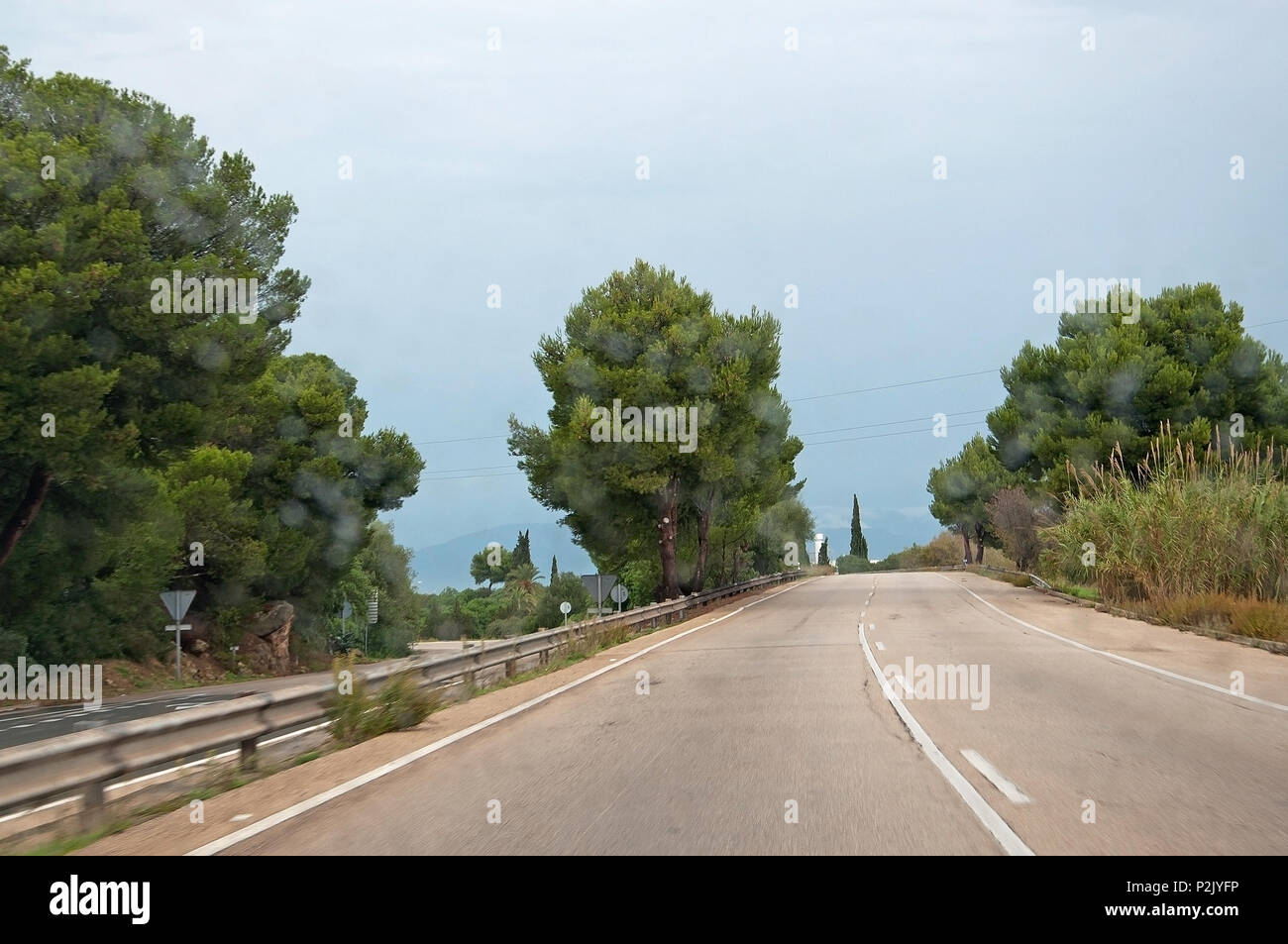 Road green vegetation and raindrop effect on car window in Palma de ...