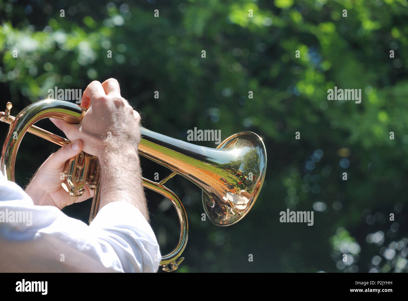 man playing trumpet Stock Photo - Alamy