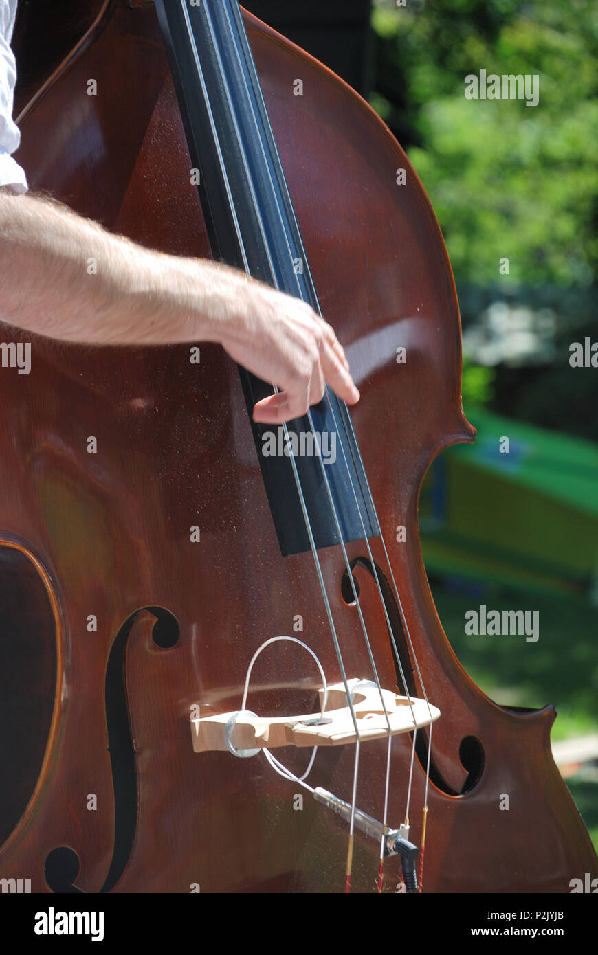 man playing double bass Stock Photo - Alamy