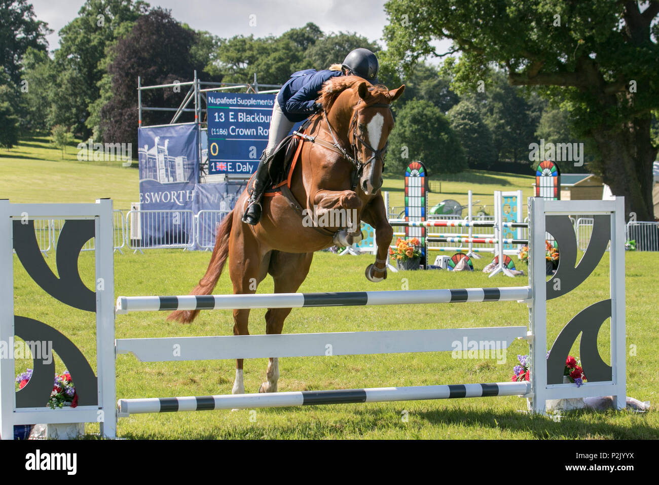 élégance royale hi-res stock photography and images - Alamy