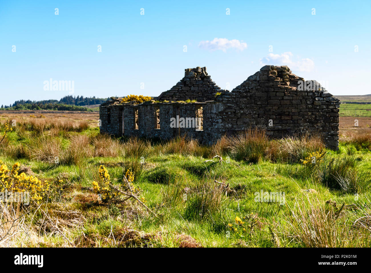 Croft ruin in highlands scotland hi-res stock photography and images ...