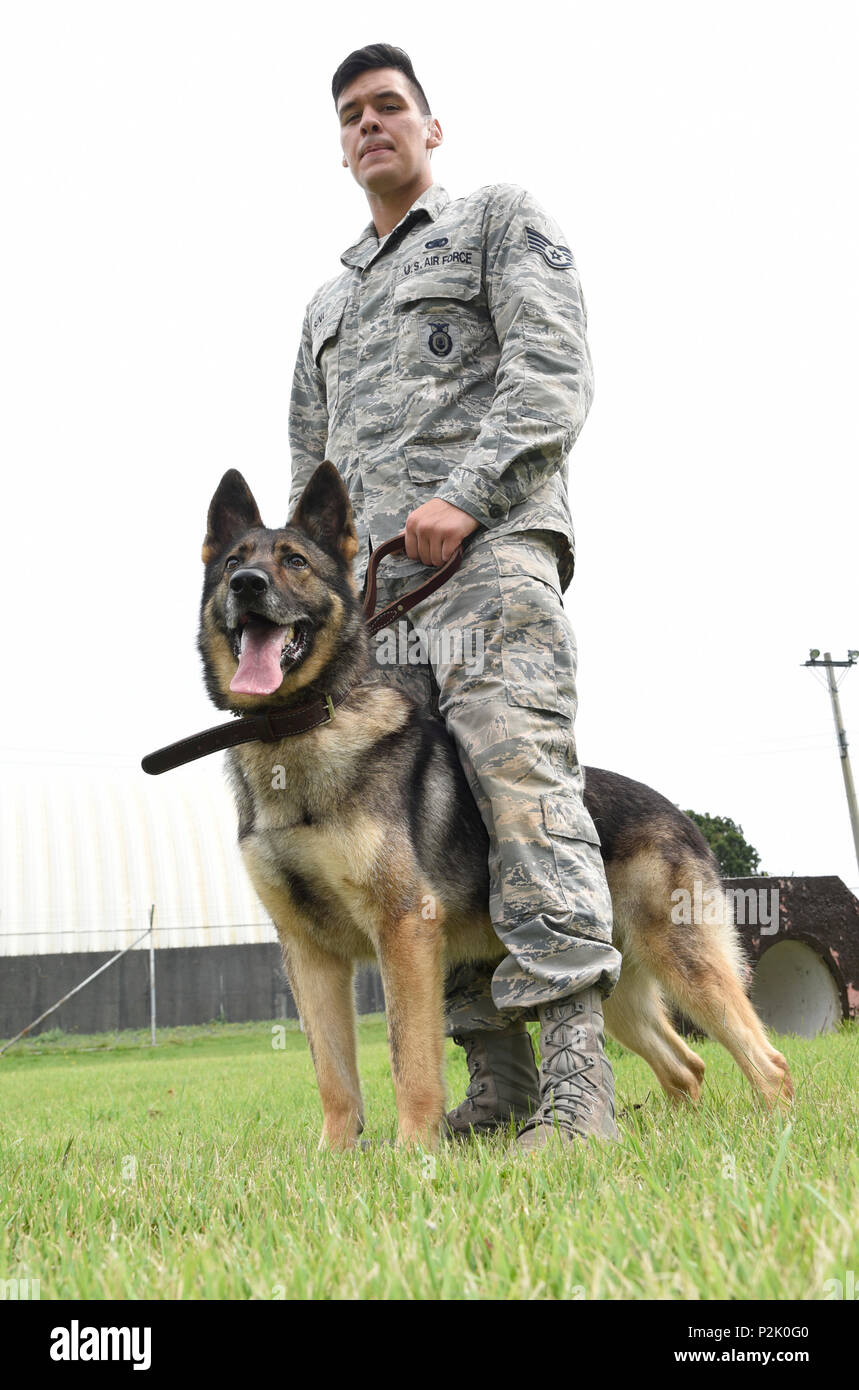 Staff Sgt. Charles Sena, a military working dog handler and Karo, a MWD ...