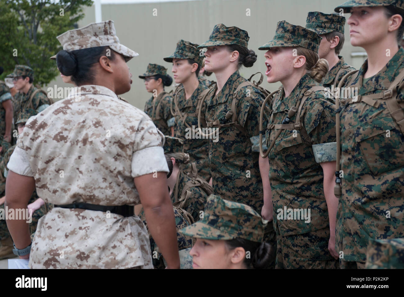 U.S. Marine Drill Instructor Gunnery Sgt. Nickea Redding gets ...