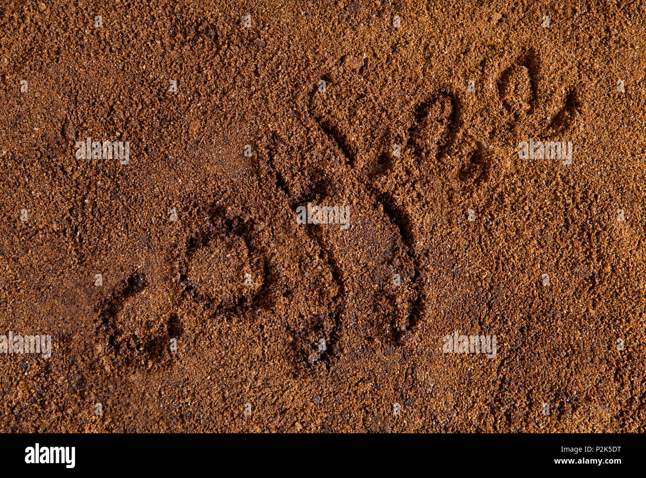 The inscription "coffee" with handwriting Stock Photo - Alamy