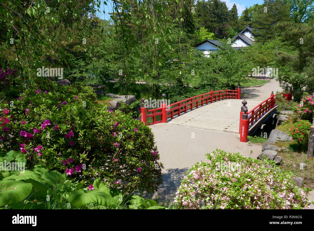 High angle shot of Takaokahashi Bridge framed by flowers and greenery ...