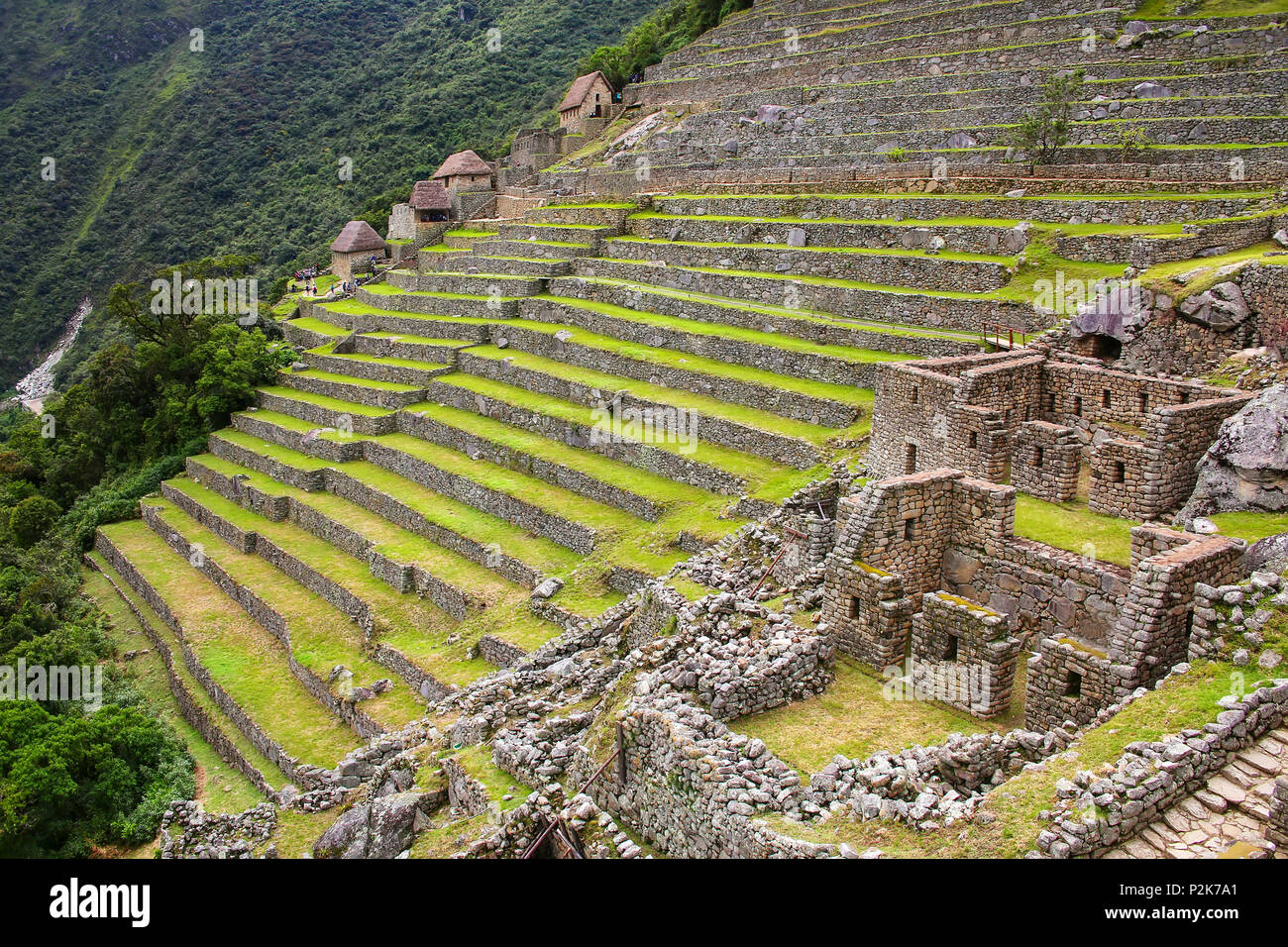 Agricultural stone terraces at Machu Picchu in Peru. In 2007 Machu ...