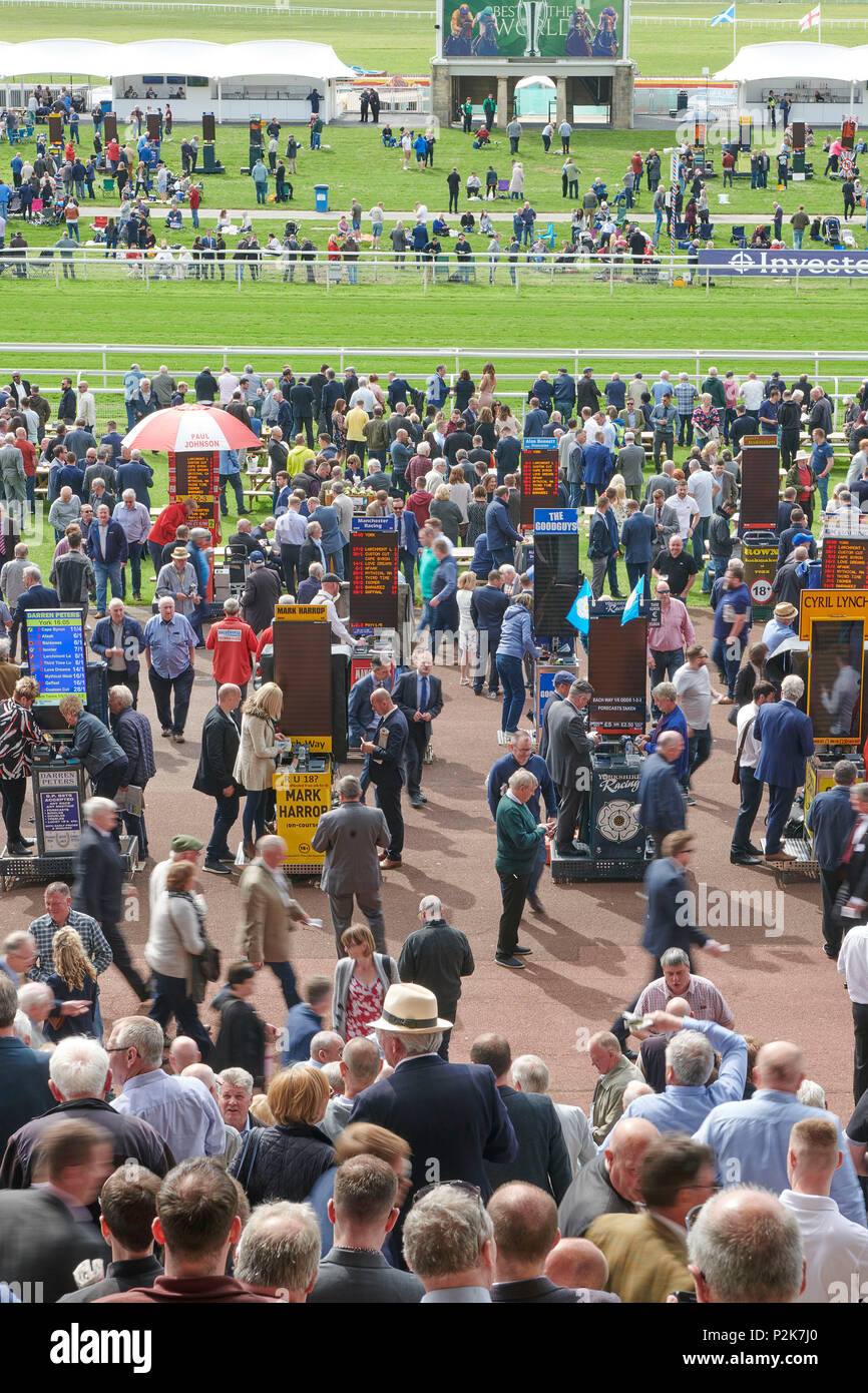 Meeting the horse hi-res stock photography and images - Alamy