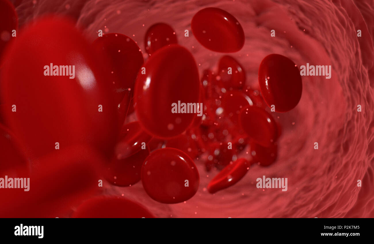 Blood vessel artery vein hi-res stock photography and images - Alamy