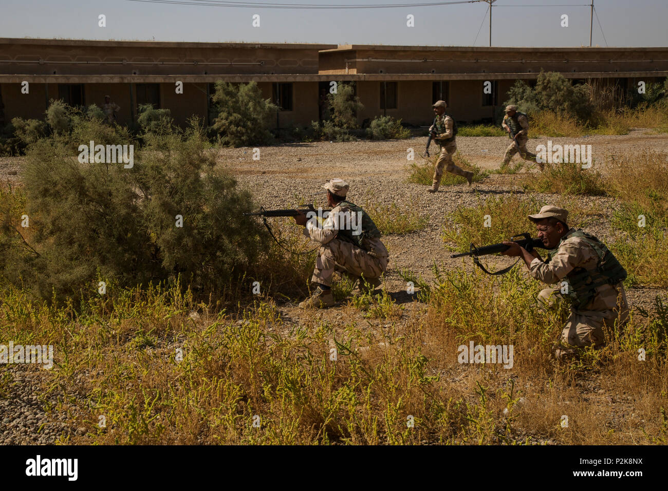 76th iraqi army brigade hi-res stock photography and images - Alamy