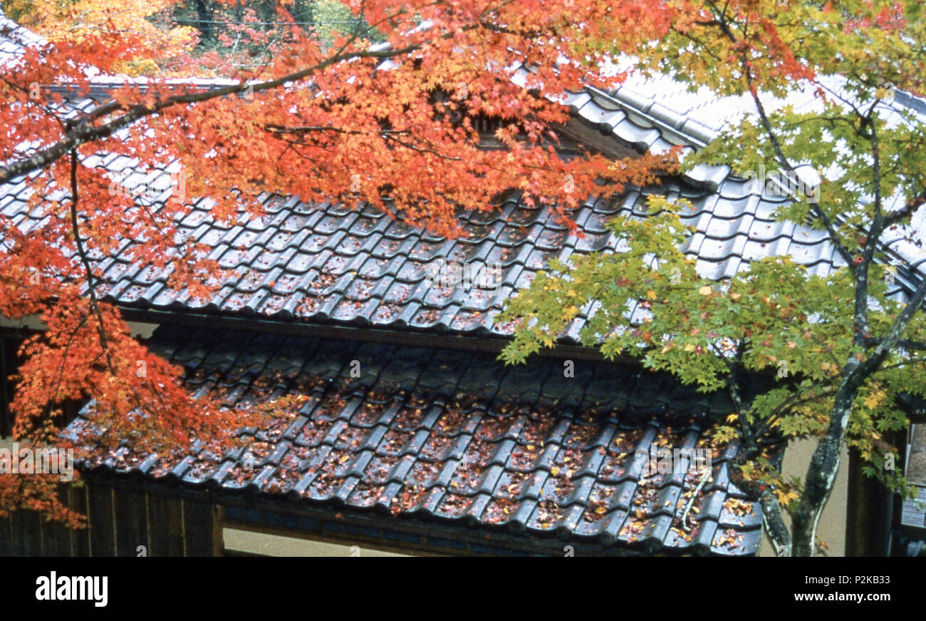 Typical Japanese roof, Hiroshima, Japan Autumn Stock Photo - Alamy