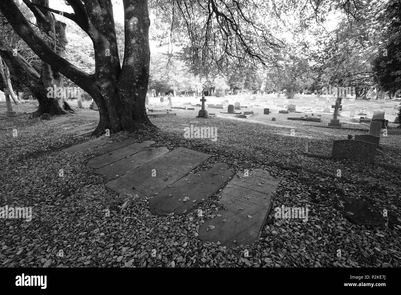 Stacked graves hi-res stock photography and images - Alamy