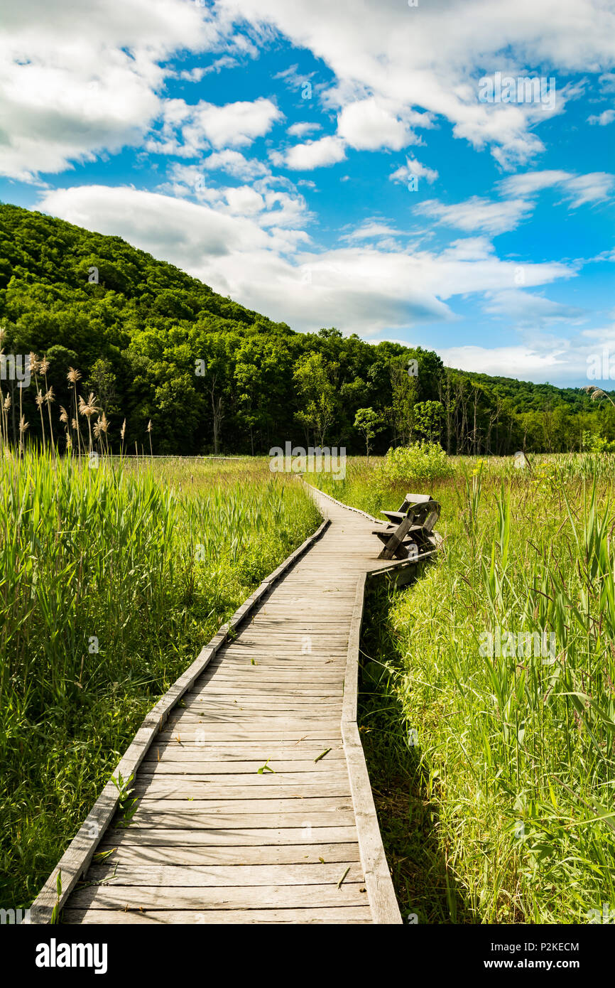 Appalachian Trail Boardwalk Stock Photo - Alamy