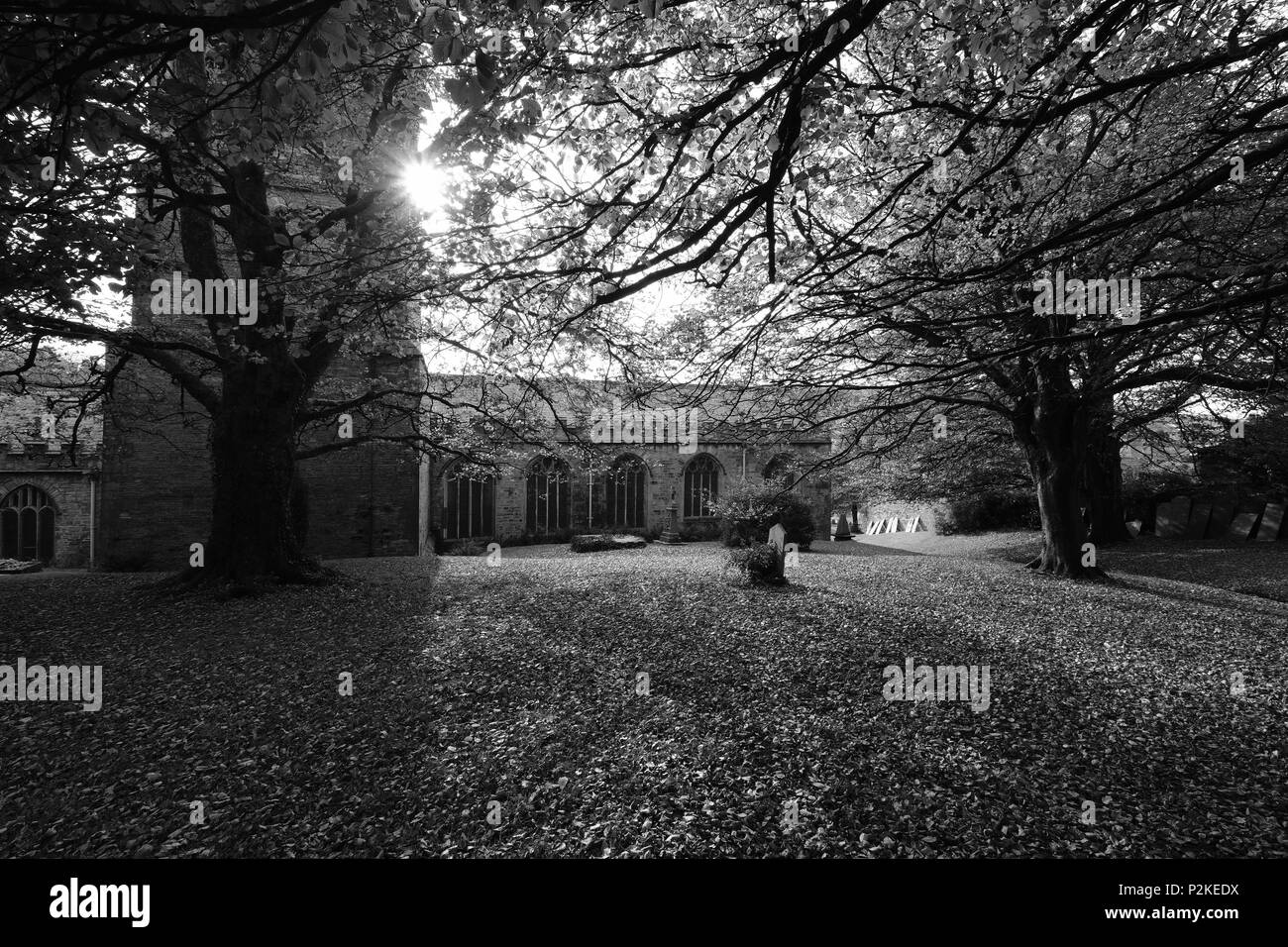 Stacked graves hi-res stock photography and images - Alamy