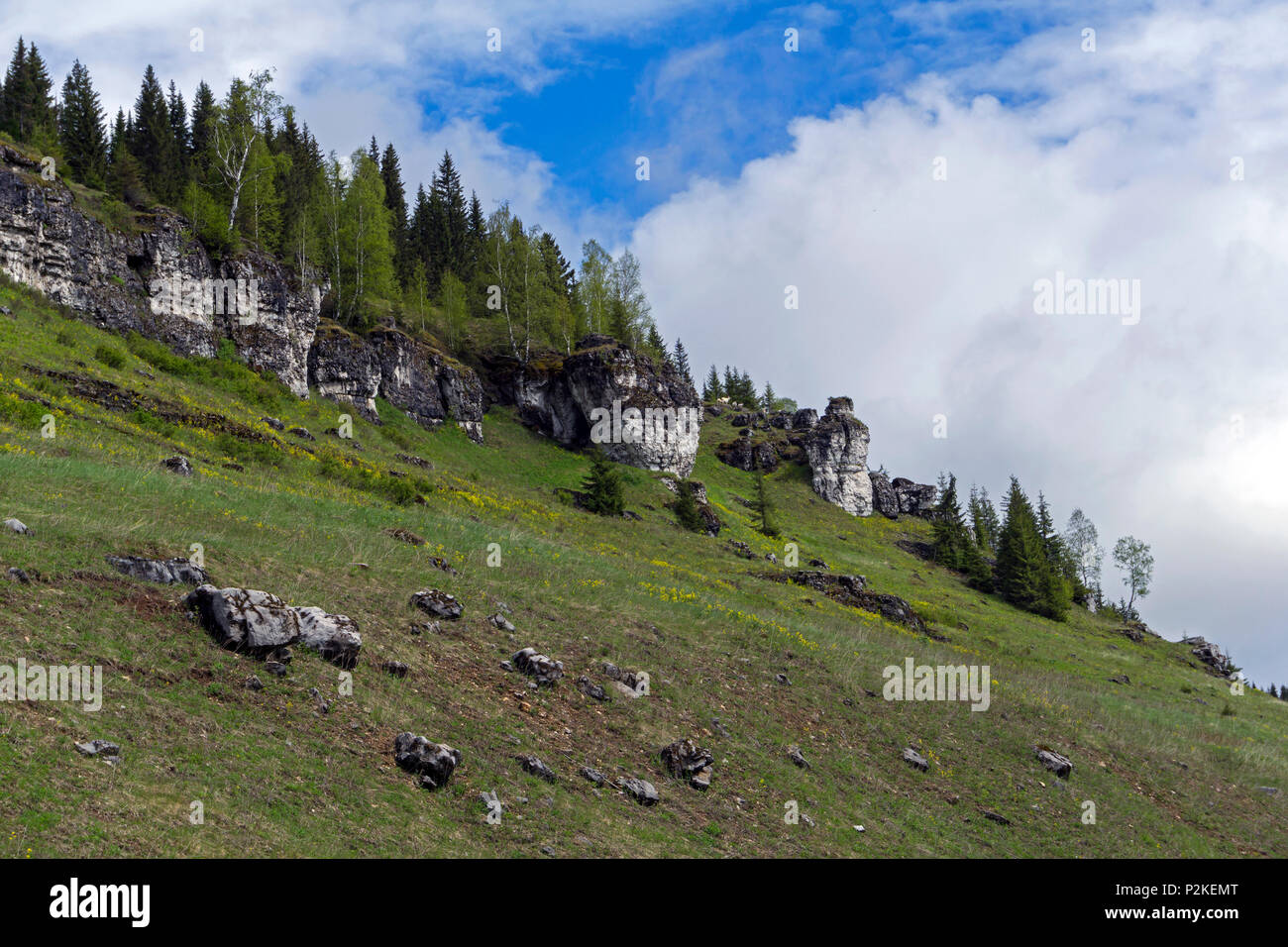 Ancient limestone reef cliffs hi-res stock photography and images - Alamy