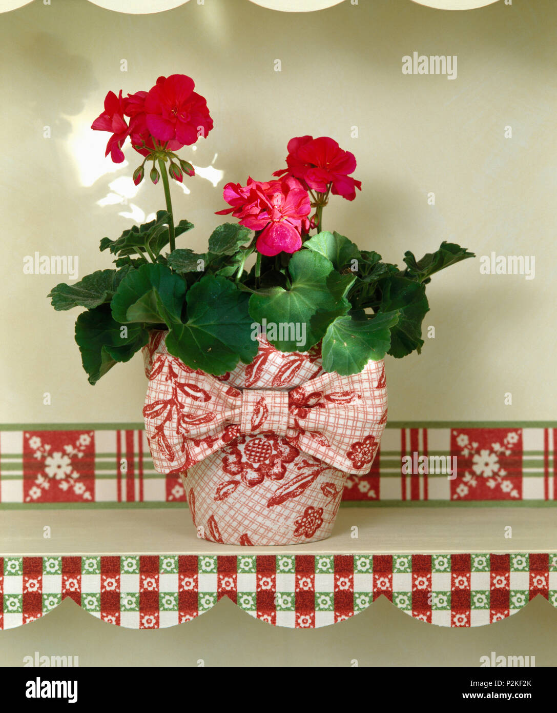Red geraniums in pot hi-res stock photography and images - Alamy
