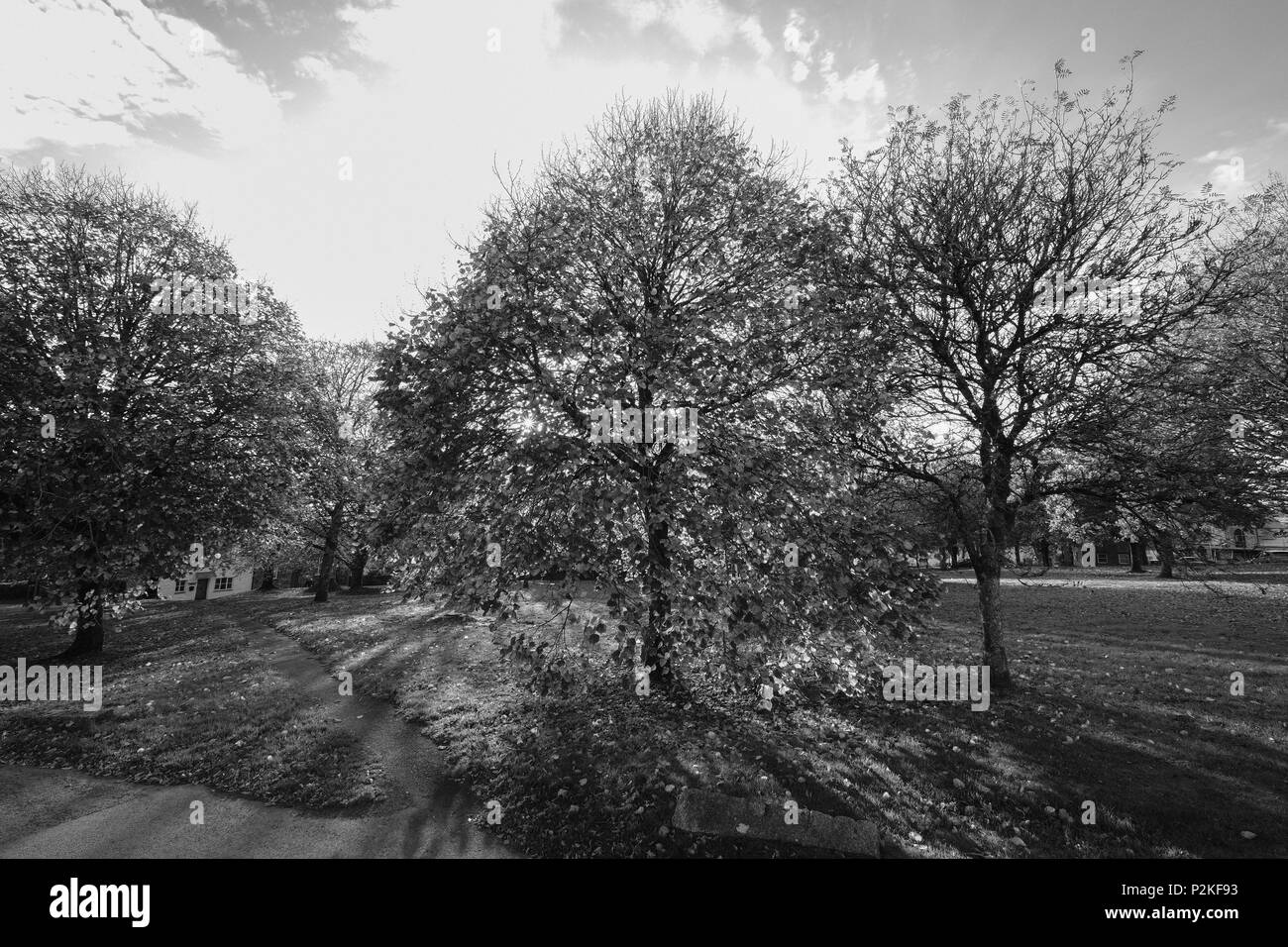 Blisland cornwall hi-res stock photography and images - Alamy