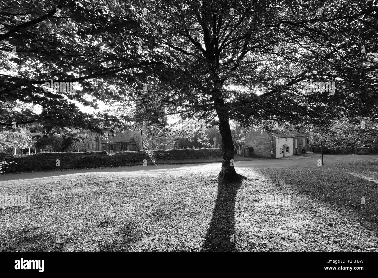 Moor green Black and White Stock Photos & Images - Alamy
